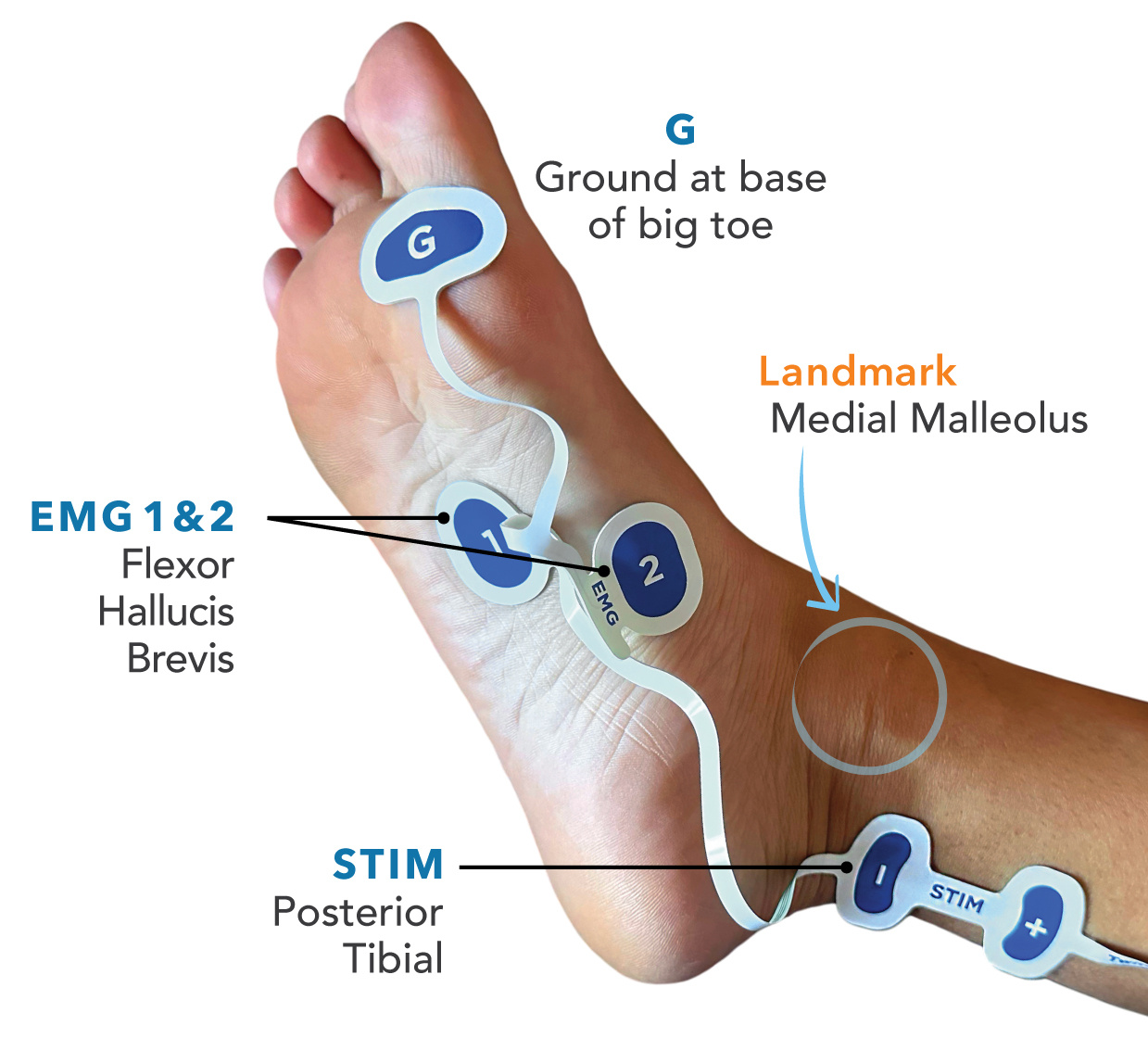 TwitchView User Guide