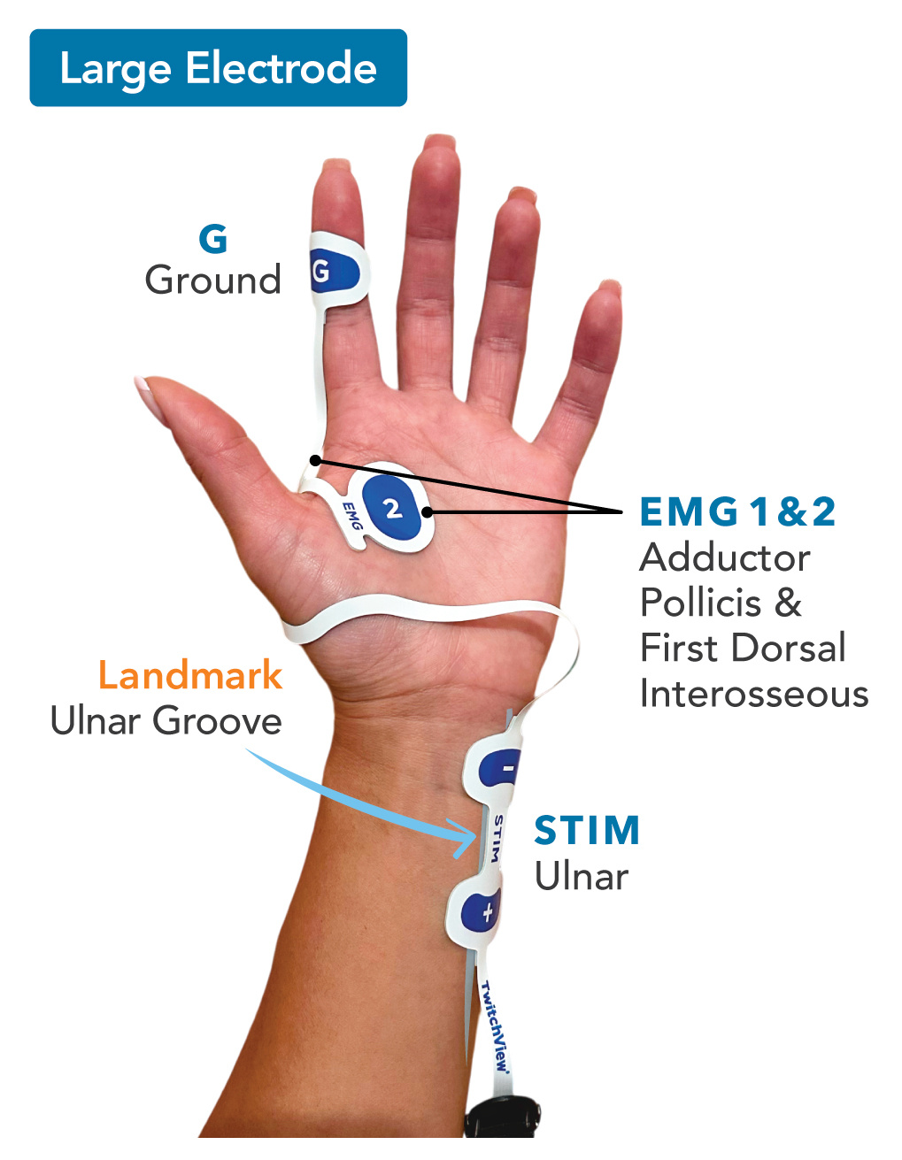 TwitchView User Guide