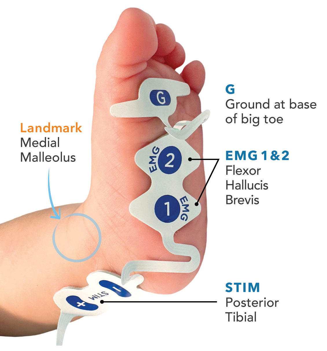 TwitchView User Guide