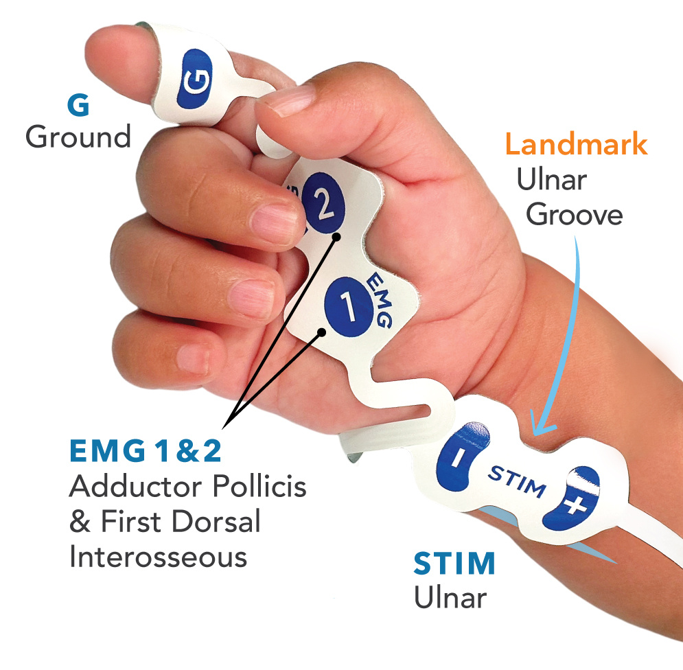 TwitchView User Guide