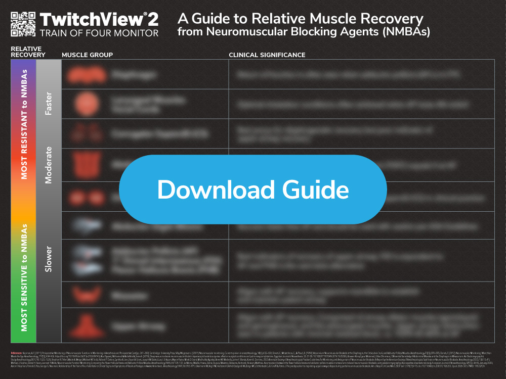 A Guide to Muscle Recovery from Neuromuscular Blocking Agents
