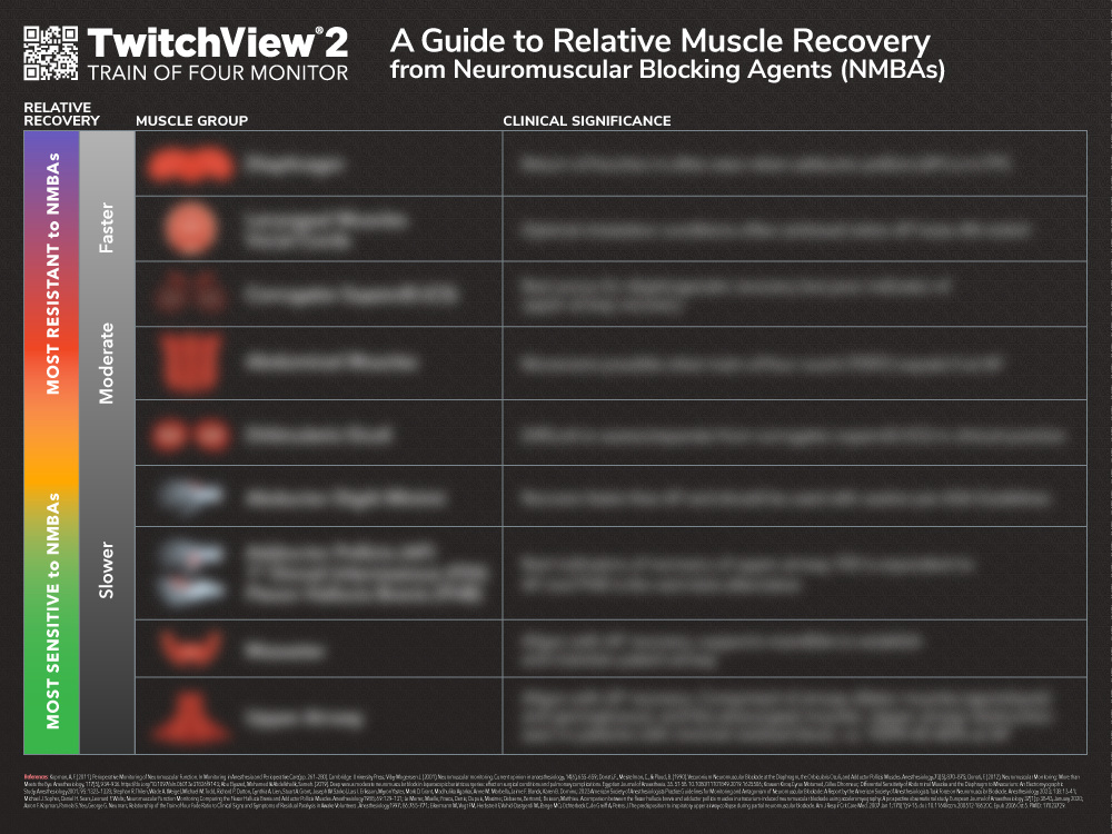 A Guide to Muscle Recovery from Neuromuscular Blocking Agents
